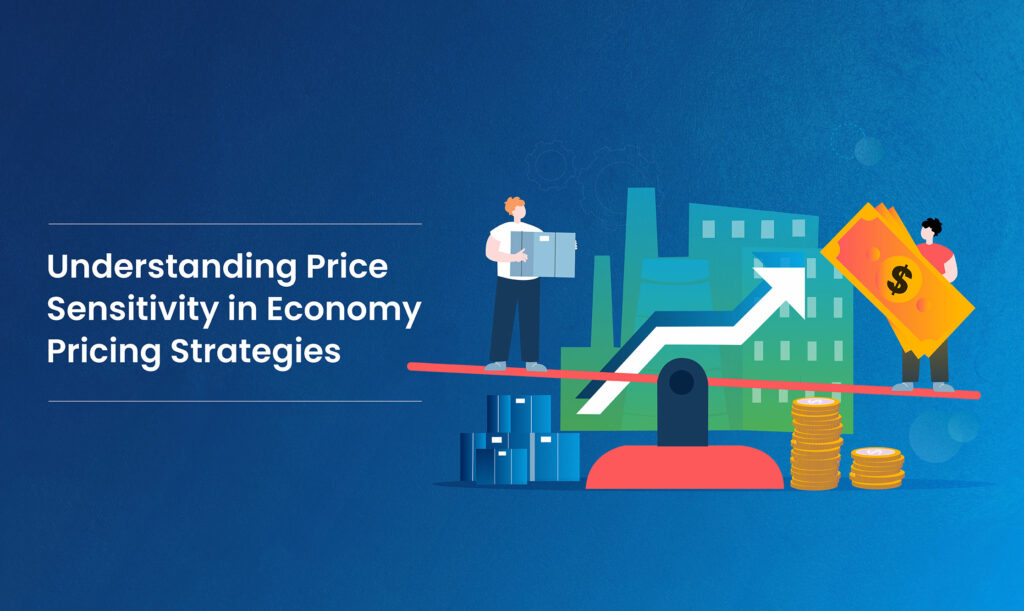 Understanding Price Sensitivity in Economy Pricing Strategies - Rubick ...